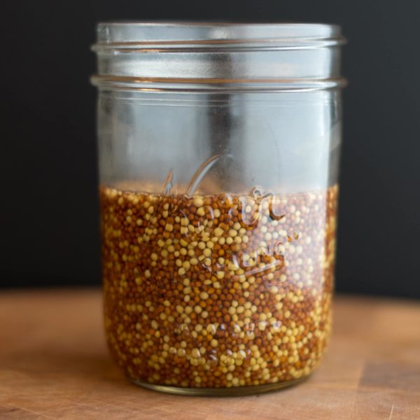 Mustard from Scratch | Lefty Spoon