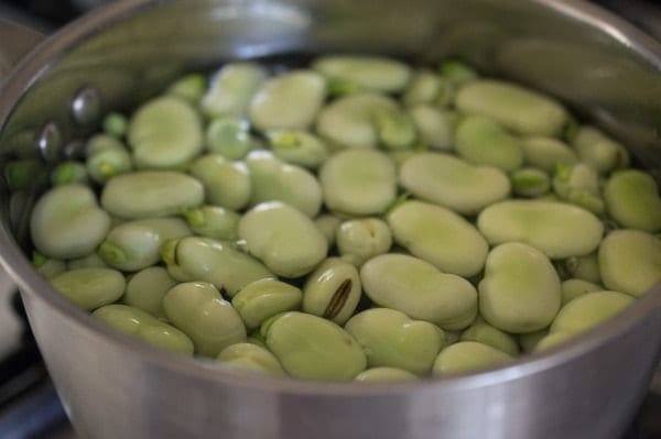 Fava Beans with Garlic, Green Onions, and Basil | Lefty Spoon